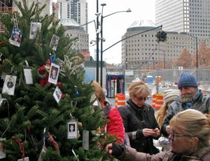 Ground Zero Tree – Stacy Horn